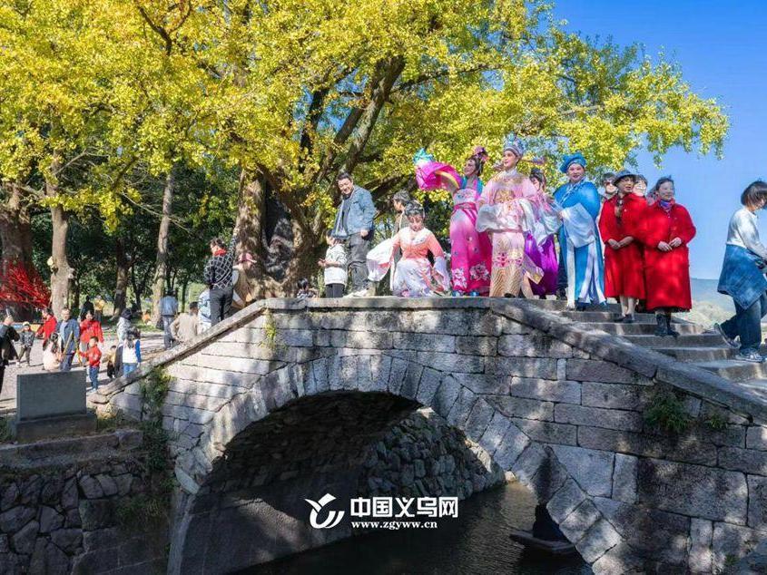义乌千年银杏即将迎来最佳观赏期