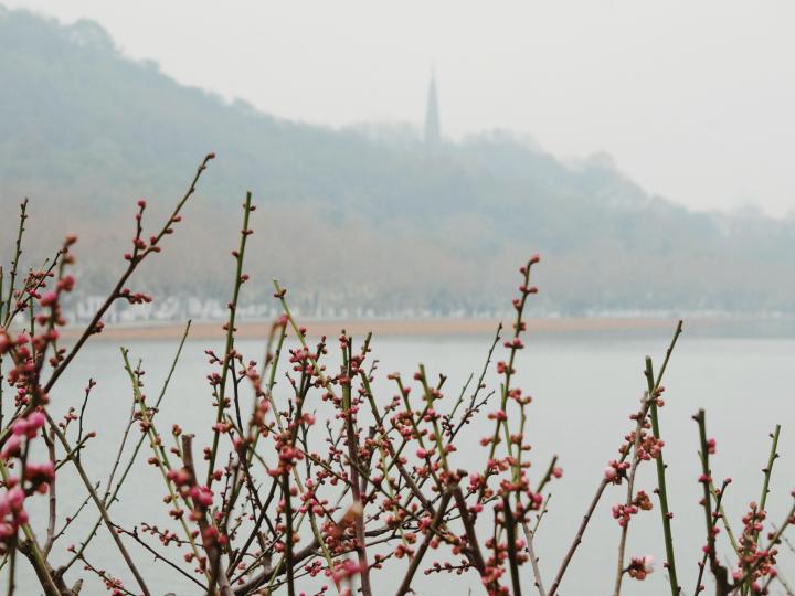今日大寒，寒潮来势汹汹，南方将迎大范围雨雪