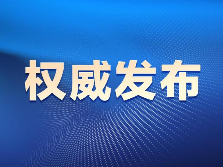 中共浙江省委办公厅 浙江省人民政府办公厅印发《关于推进政务服务增值化改革的实施意见》的通知