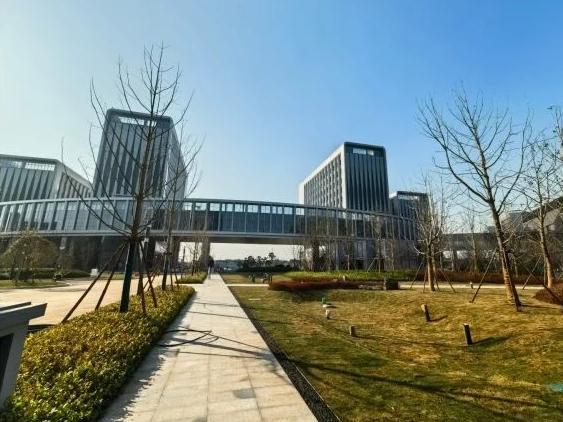 浙报关注丨甬江实验室启动区完成竣工验收