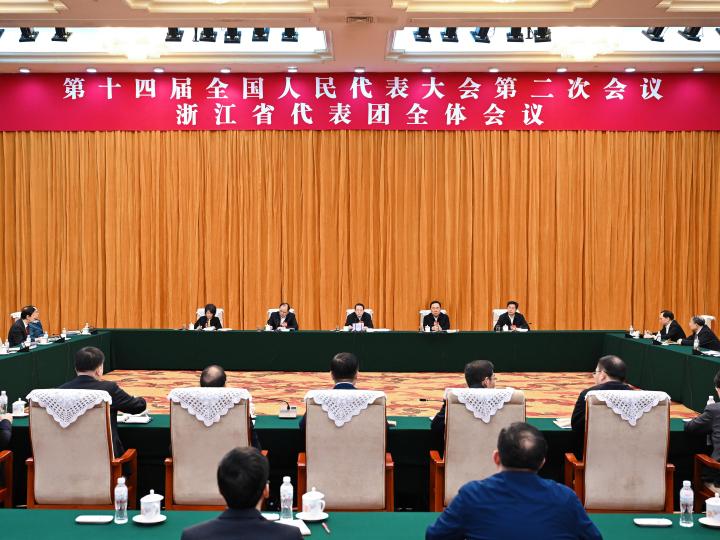 浙江代表团传达学习习近平总书记在看望参加全国政协会议的民革科技界环境资源界委员时的重要讲话精神