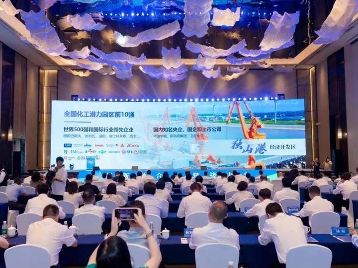 平湖独山港项目投资都是重量级 为美镇经济注入新活力