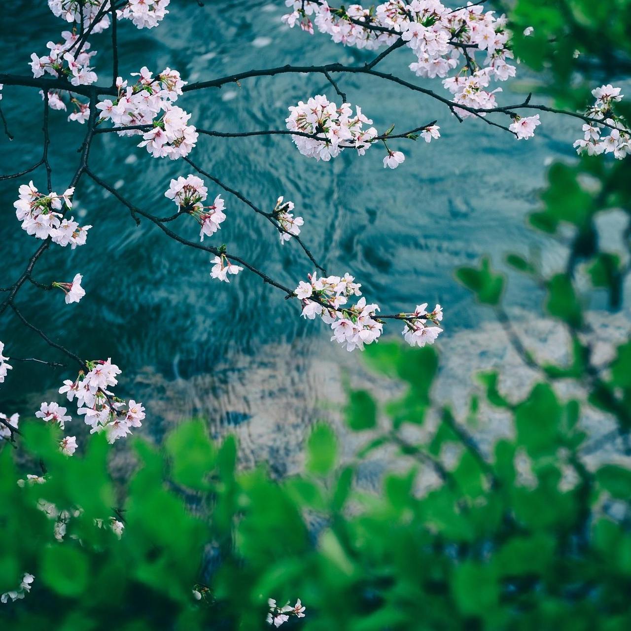 晚潮｜那个女孩，撞上了青春 8562