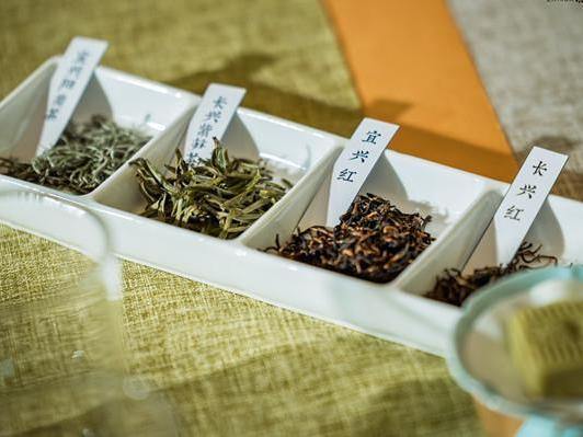 Jiangsu's Yixing, Zhejiang's Changxing show rich legacy of tea culture