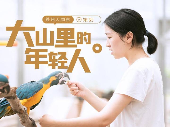 90后女海归朱姜蓓：回乡创办鸟舍 用爱守护家乡生态